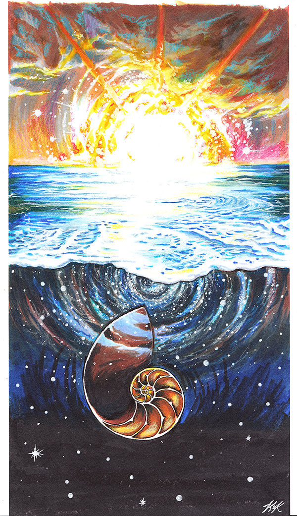 nautilus-p1_600 – Write or Flight